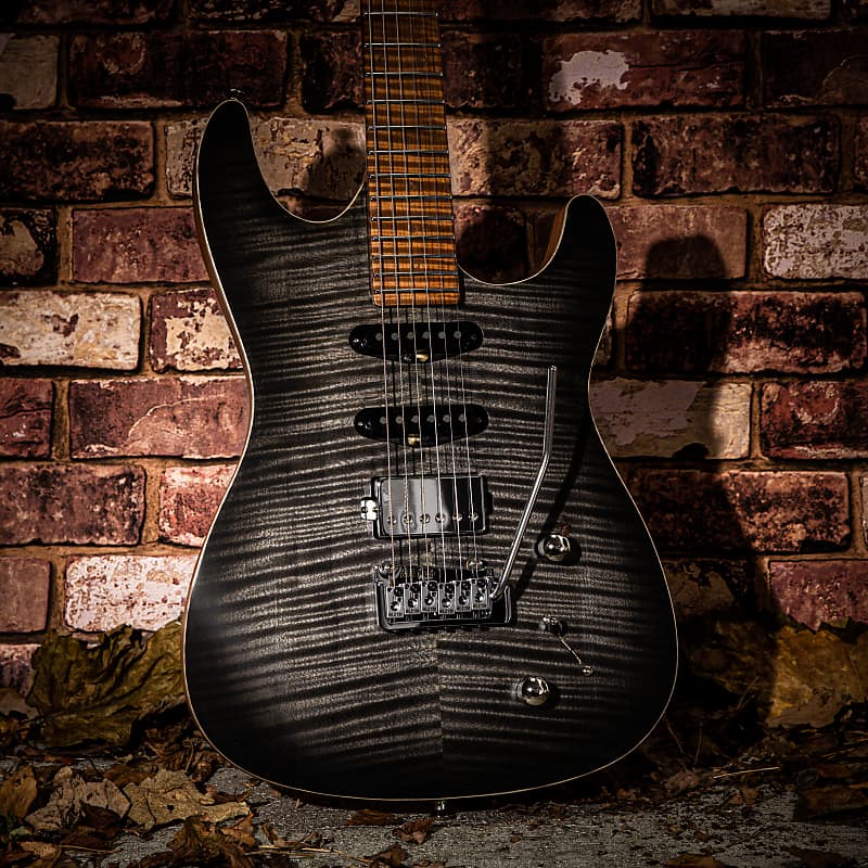 Chapman Guitars Workshop Series ML1 X 2022 Midnight Raven | Reverb