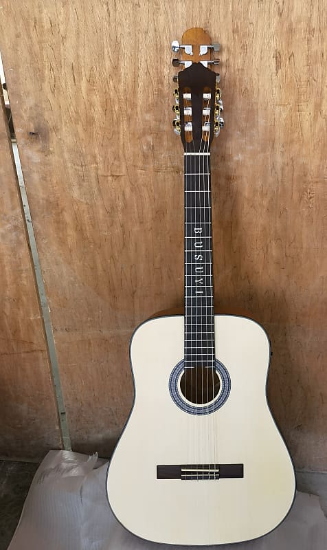 6 Strings Classical/ 12 String Acoustic Double Sided, Busuyi | Reverb