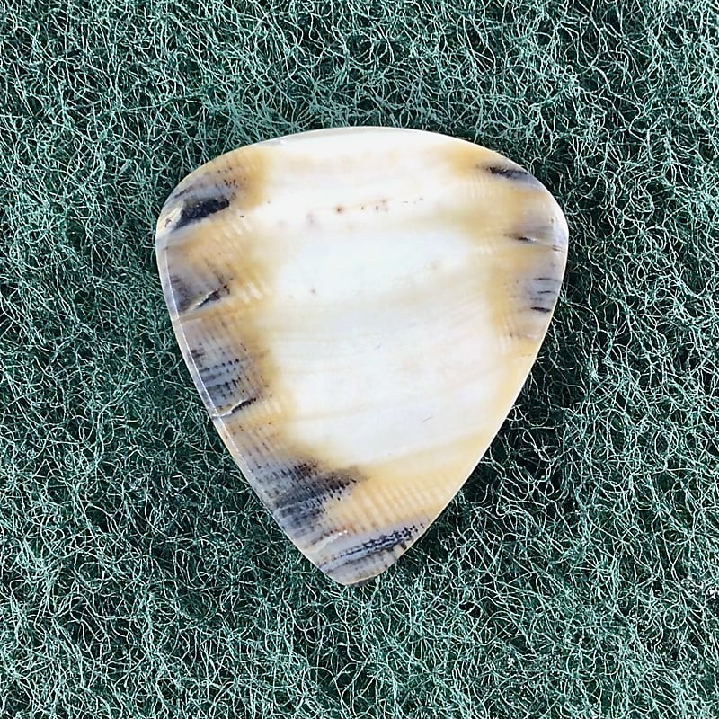 Seashell guitar pick-1.8mm, classic size & shape… by | Reverb