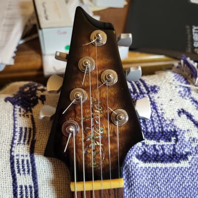 Warrior Rick Derringer Harley Flames | Reverb