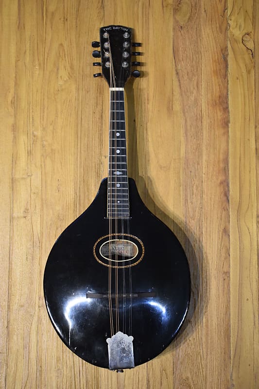 The Dayton Style B mandolin 1910s - black | Reverb Deutschland