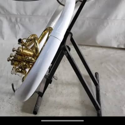 CONN SOUSAPHONE 22K FIBERGLASS/BRASS NAKED LADY | Reverb