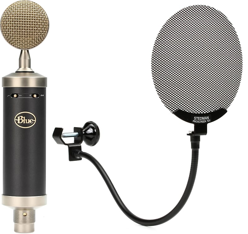 Blue Microphones Baby Bottle SL Large-diaphragm Condenser | Reverb