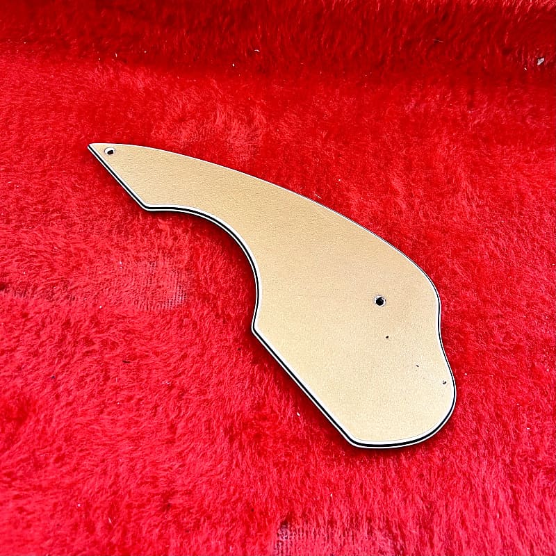 Fender Acoustic pickguard 1966 Gold newporter kingman | Reverb