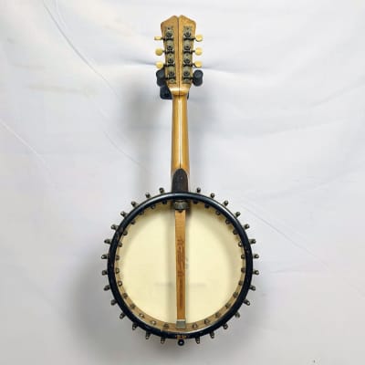 1920s Vega Fairbanks Little Wonder Mandolin Banjo Banjolin | Reverb