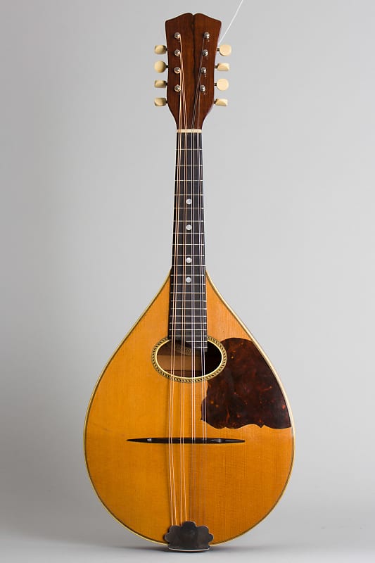 Vega Model 201 Flat Back, Bent Top Mandolin (1930), ser. | Reverb