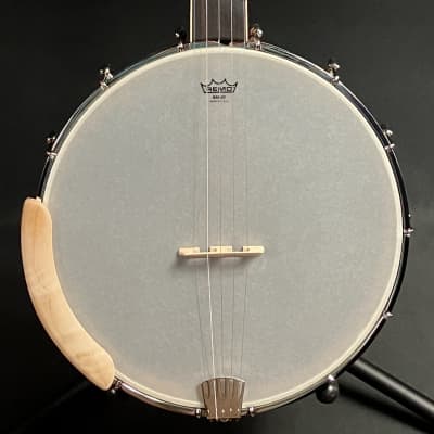 Gold Tone HM-100 High Moon Handcrafted 5-String Open Back | Reverb