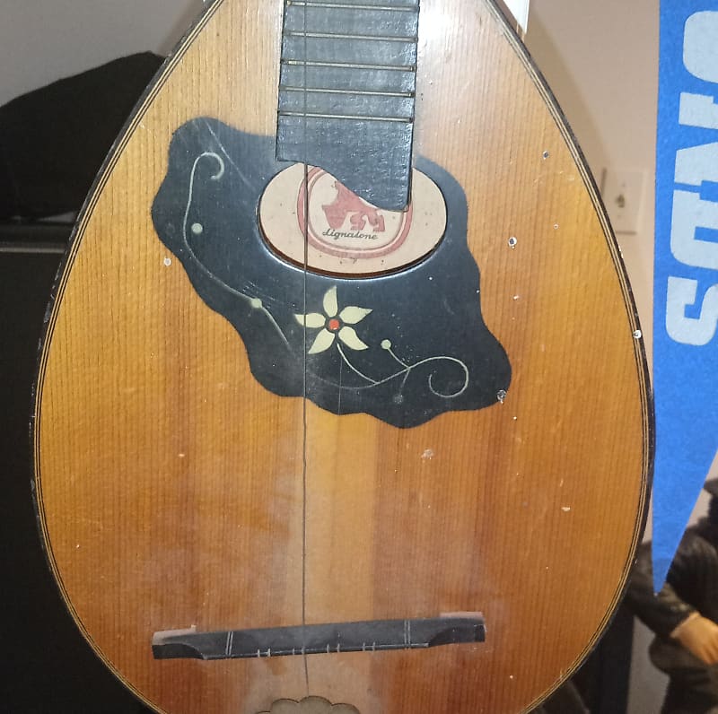 Lignatone Flat Mandolin | Reverb