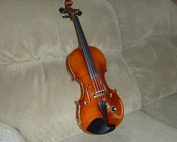 Barcus Berry Violectra | Reverb