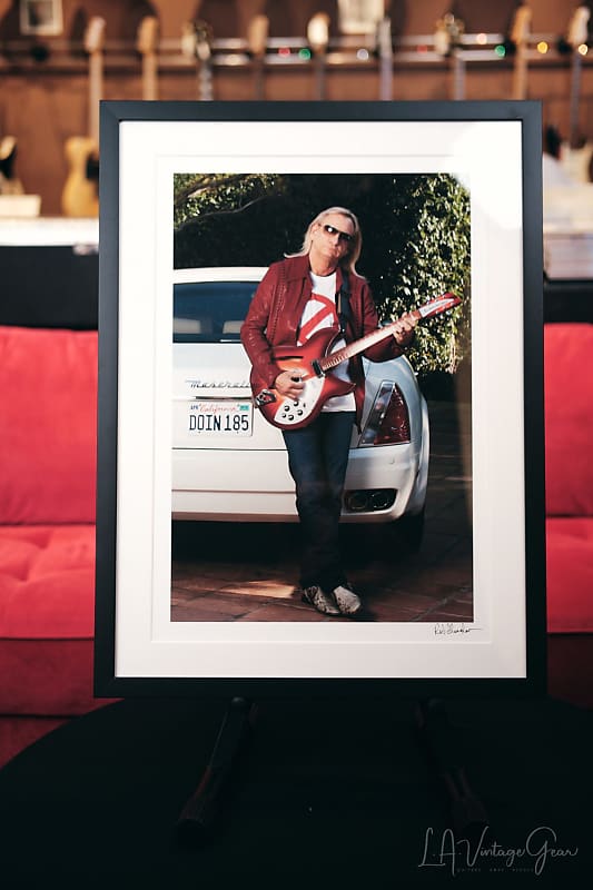 Rob Shanahan Rock Art – Joe Walsh | Reverb