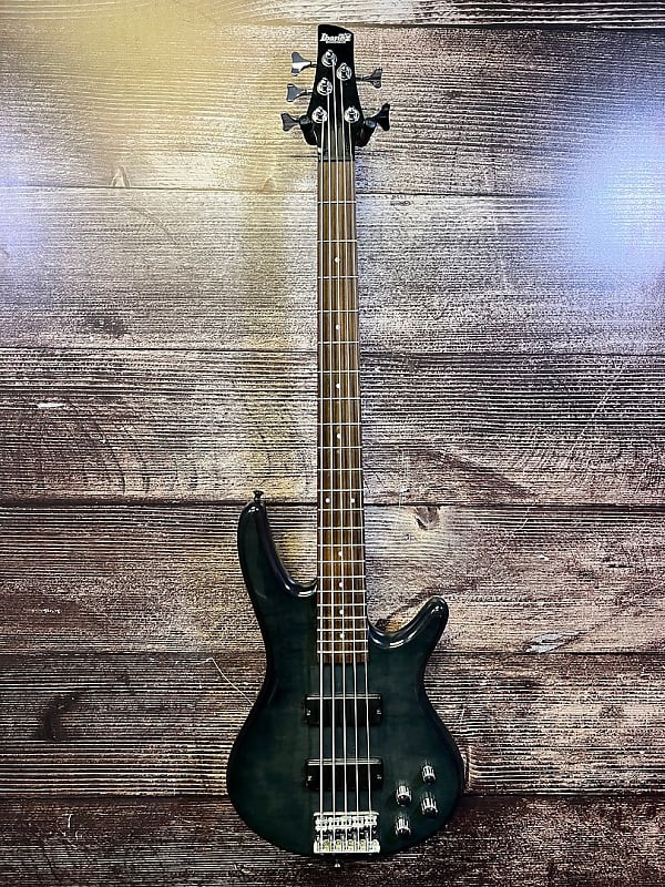 Ibanez Gio 5 string 5 String Bass Guitar (Tampa, FL) | Reverb