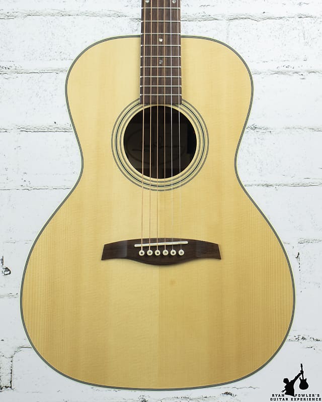 Gary Levinson LS-23 Acoustic Electric Folk Guitar w / gigbag | Reverb