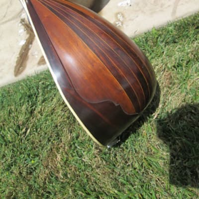 Ditson Victory Mandolin (Larson Bros.) | Reverb