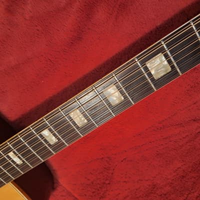 Ventura Bruno V-17 12 String Acoustic Dreadnought Guitar | Reverb