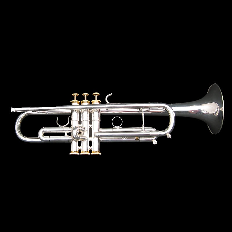 Getzen 20S Renaissance Bb Silver Trumpet, Deluxe Case | Reverb
