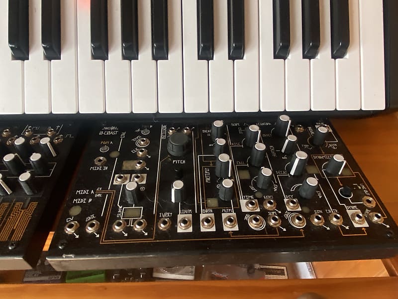 Make Noise 0-Coast & 0-Ctrl combo | Reverb