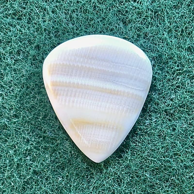 Seashell guitar picks- Classic size and shape, 3.7mm thick … | Reverb