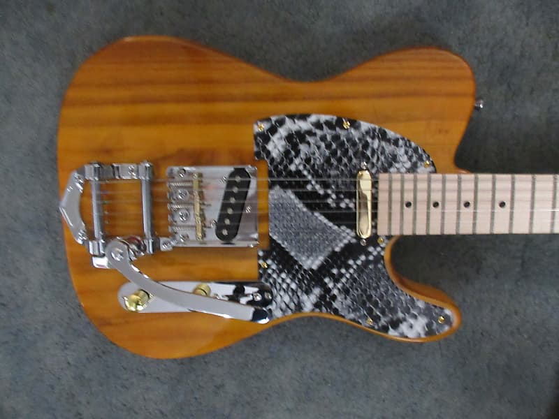 ~Cashner~ TeleCaster-Style w/Whammy Bar | Reverb