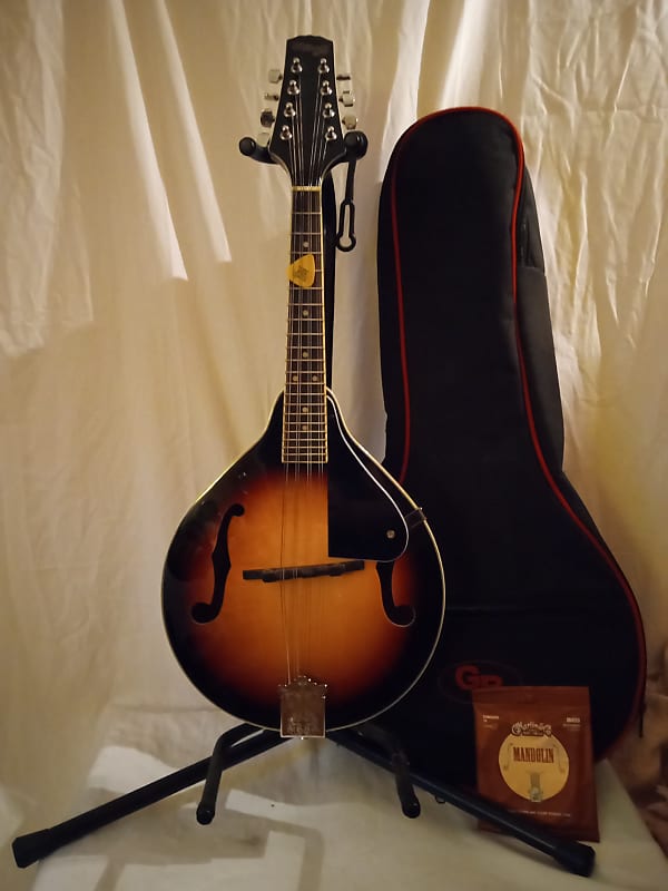 Stagg M20 2000s Sunburst | Reverb