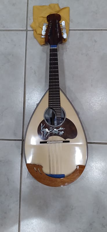 Calace Bowl Back Mandolin | Reverb
