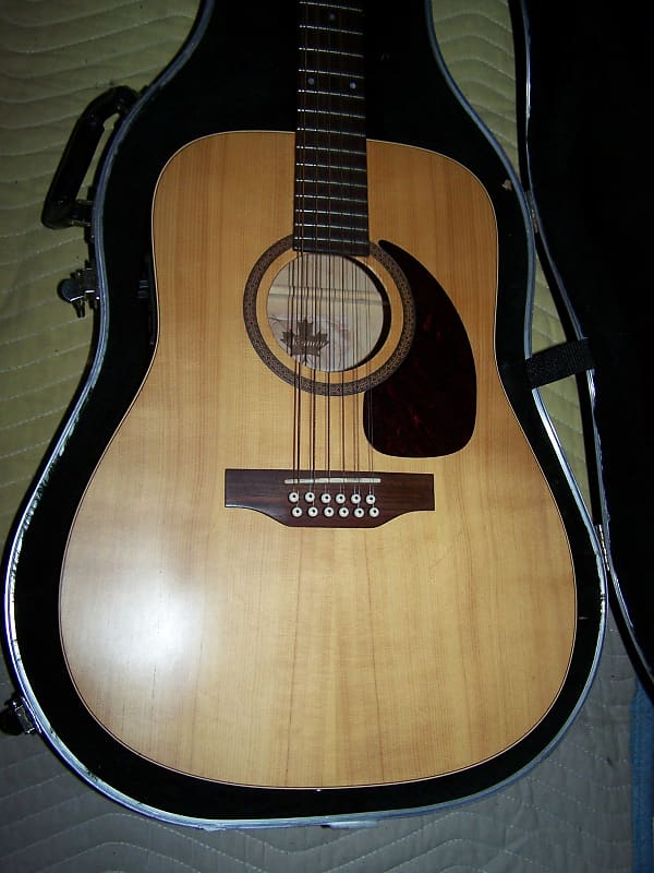 Norman B20(12) acoustic-electric 12-string guitar with hard | Reverb