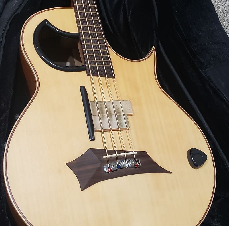 Warwick Alien 4 String Acoustic Bass w/ Gig Bag | Reverb