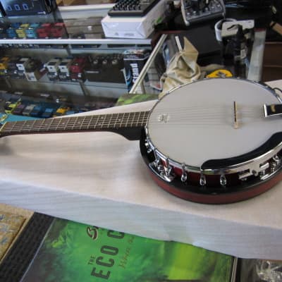 Rogue 6 String Banjo W/Pickup | Reverb