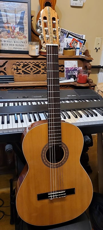 Alvarez 5003 Spruce and Mahogany Classical Guitar | Reverb