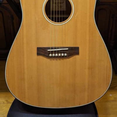 Dexter D-7SOP-EQ Acoustic Electric Dreadnought Guitar | Reverb
