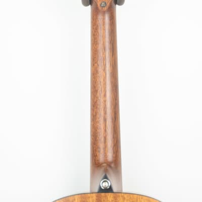 Alvarez AP66SHB Parlor Shadowburst | Reverb