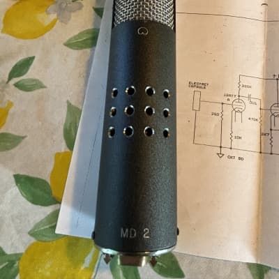 Groove Tube Model 2 Tube Condenser Microphone | Reverb