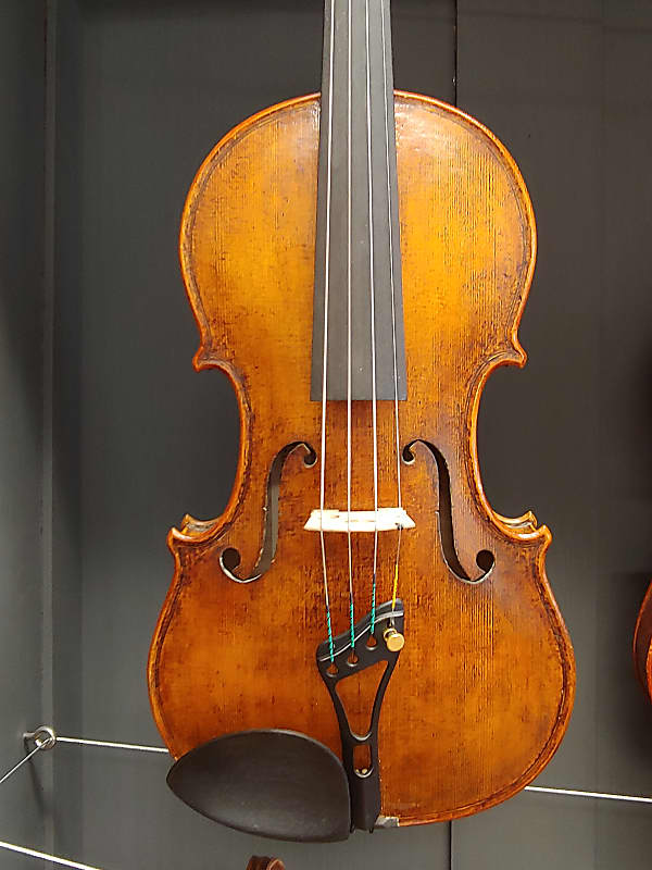 Thomas Dunn Professional Violin 2018 Golden Brown | Reverb