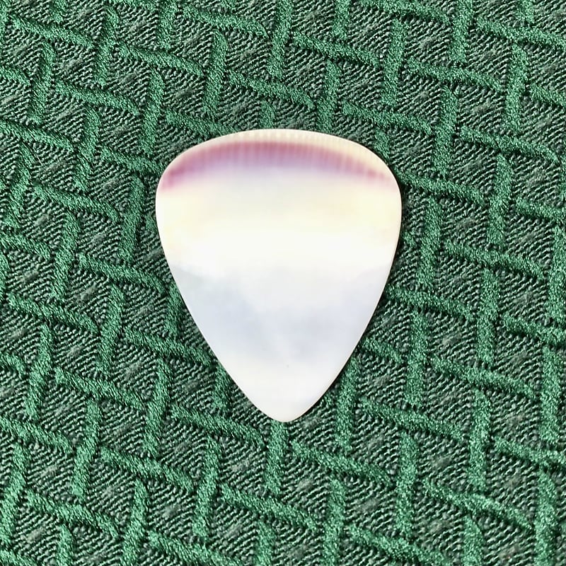 Seashell guitar pick/1.2mm, classic size & shape… by | Reverb