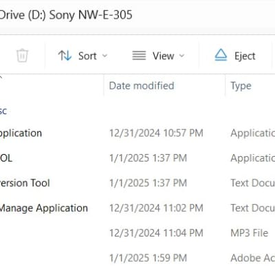 Vintage SONY Walkman Bean MP3 Player NW-E305 - See Video, | Reverb