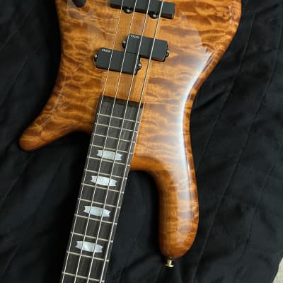 Spector Euro 4 LX DW 2022 Amber Gloss | Reverb