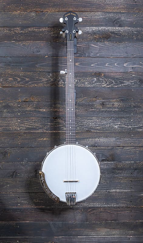 Gold Tone 5 String Open Back Banjo w/ Gig Bag | Reverb