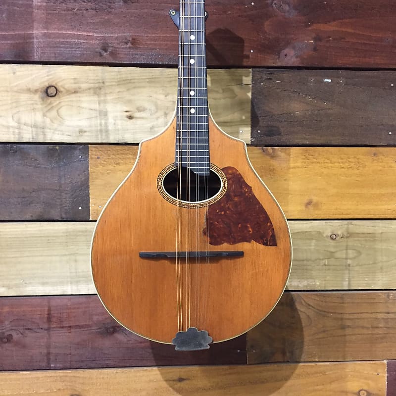 Vega Cylinder Back Mandolin Brazilian Rosewood 1915-1920 | Reverb UK