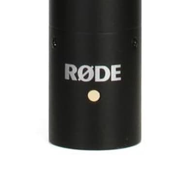 Rode NTG4+ Shotgun Condenser Microphone with Rechargeable | Reverb