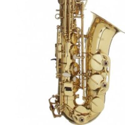 Stagg WS-AS-215 Student Eb Alto Sax w/ Case | Reverb