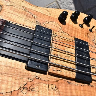 Scott Ambush Custom 5 String Bass | Reverb