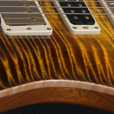 Fender PS#10409 Special 22 Semi Hollow "Birds of a Feather" | Reverb