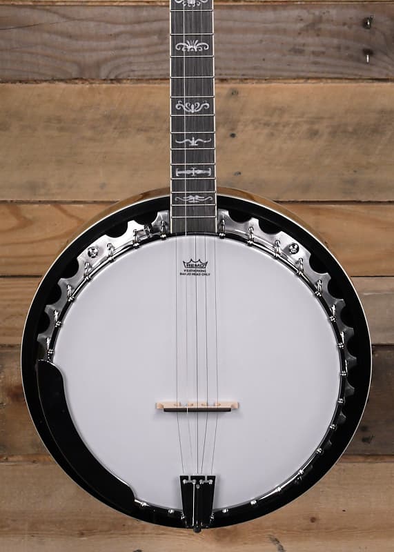 Washburn Americana B10 5-String Banjo Sunburst Gloss | Reverb
