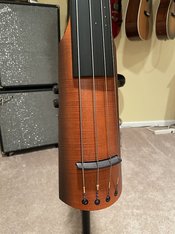 NS Design NXT 4 String EUB 2020 - Amberburst | Reverb