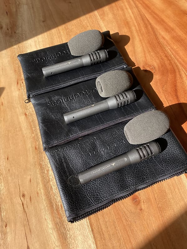 Audio-Technica AE5100 Large-Diaphragm Cardioid | Reverb Canada