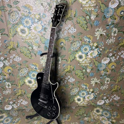 Aria Pro II LP Custom "Vine Of Life" | Reverb