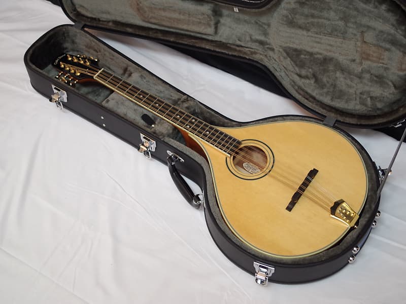 GOLD TONE OM-800+ 8-string electric Octave MANDOLIN new w/ | Reverb