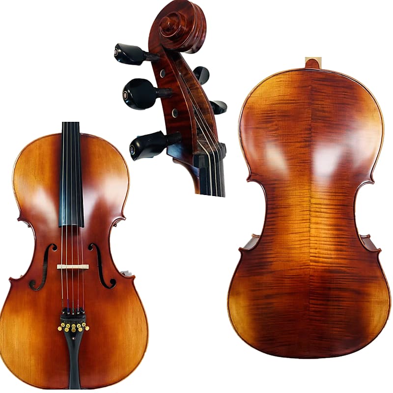 Rare Professional song maestro European tone 5 Strings Cello | Reverb