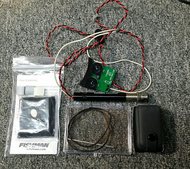 Fishman Acoustic Matrix VT Natural 1 | Reverb