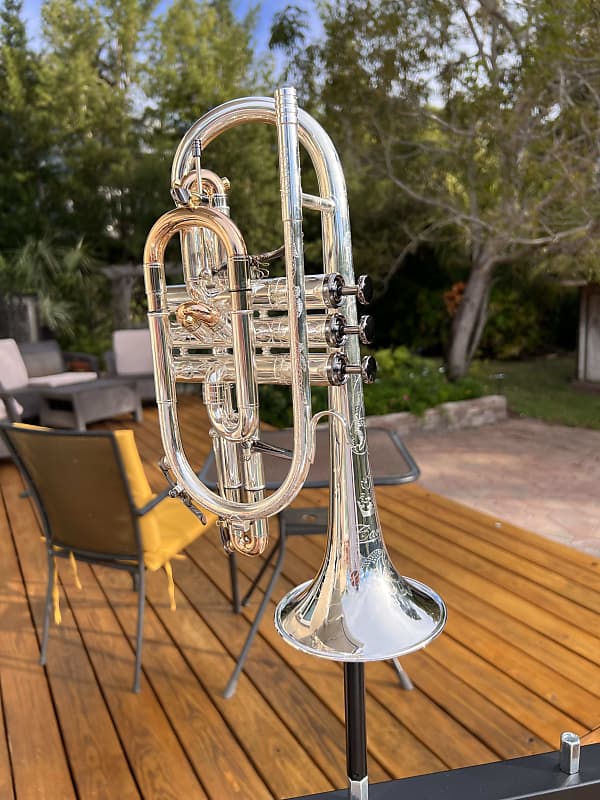 Cornet Bb. Geneva Cardinal Professional | Reverb