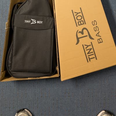 Tiny Bass TBP 3450 - NSM 2025 - Spalted Maple | Reverb